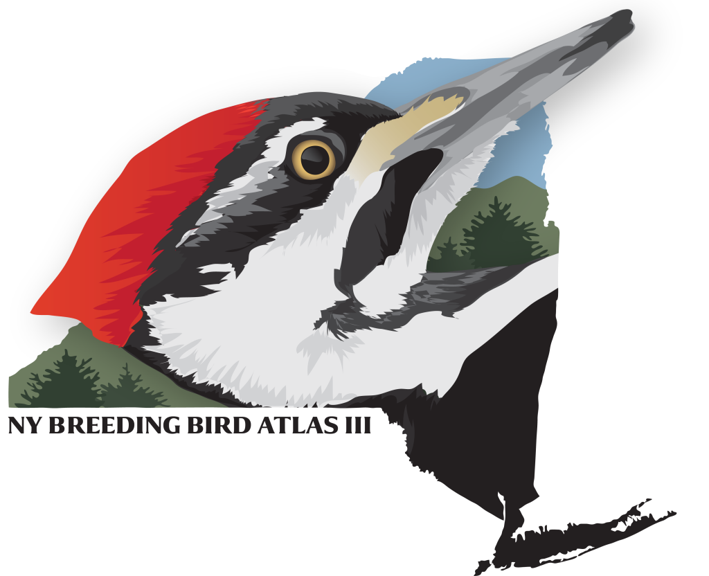 NY BBA III Breeding Codes: Confirmations – Edgar A. Mearns Bird Club